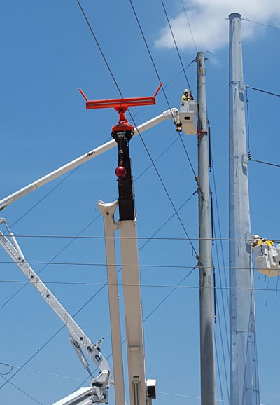 Transmission Line Guard