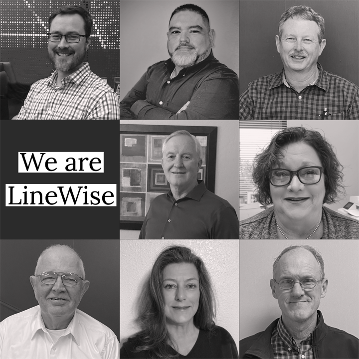 The LineWise Team - LineWise